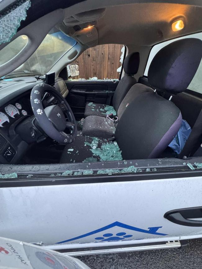 Burien Animal Shelter hit by severe vandalism; Leaders call incident an ...